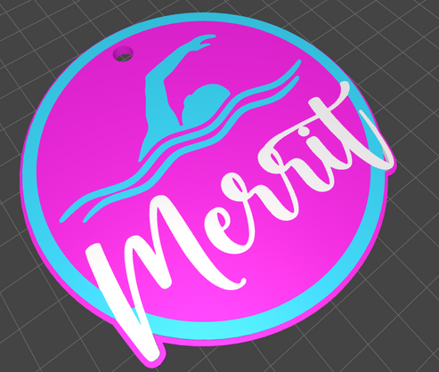 Swim Tag – The Quacktory