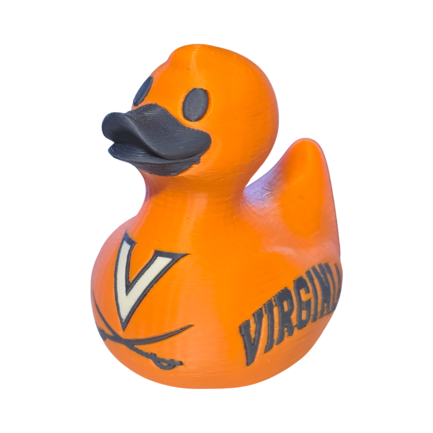 University of Virginia Duck – The Quacktory